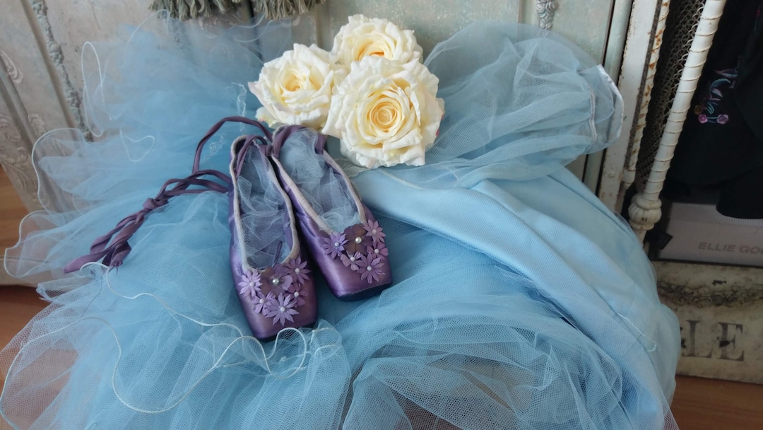 Romantic Silk Leather Ballet Shoes Ballerina Dances Shabby Chic Faded ...