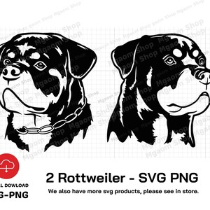 Rottweiler Svg, 2 Rottweiler Svg, Rottweiler Face Svg, Dogs Svg ...
