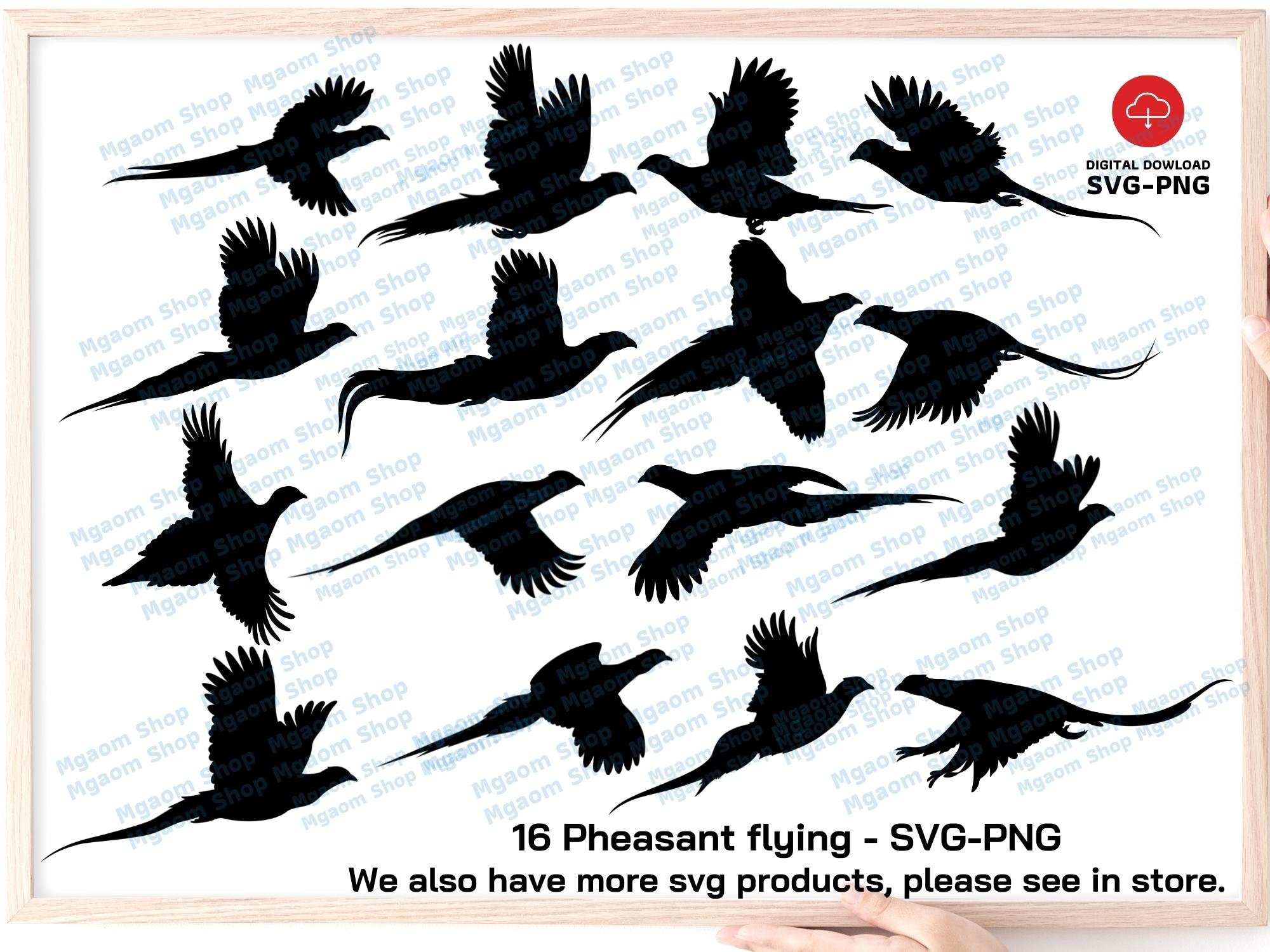 Pheasant Flying SVG Bundle: 16 Designs (digital Download) - Etsy