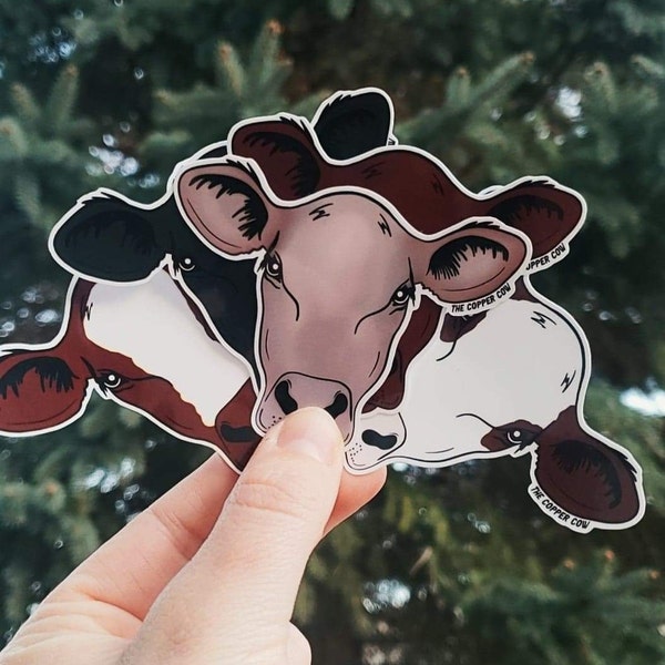 Cow Head Stickers - Etsy