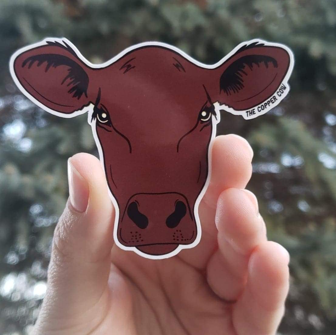 Cattle Head Stickers : Cow Head Stickers - Etsy