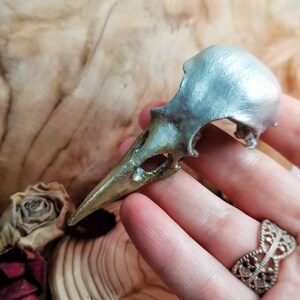 Raven Skull Replica Made of Resin | Organic! Decoration Viking Gothic ...