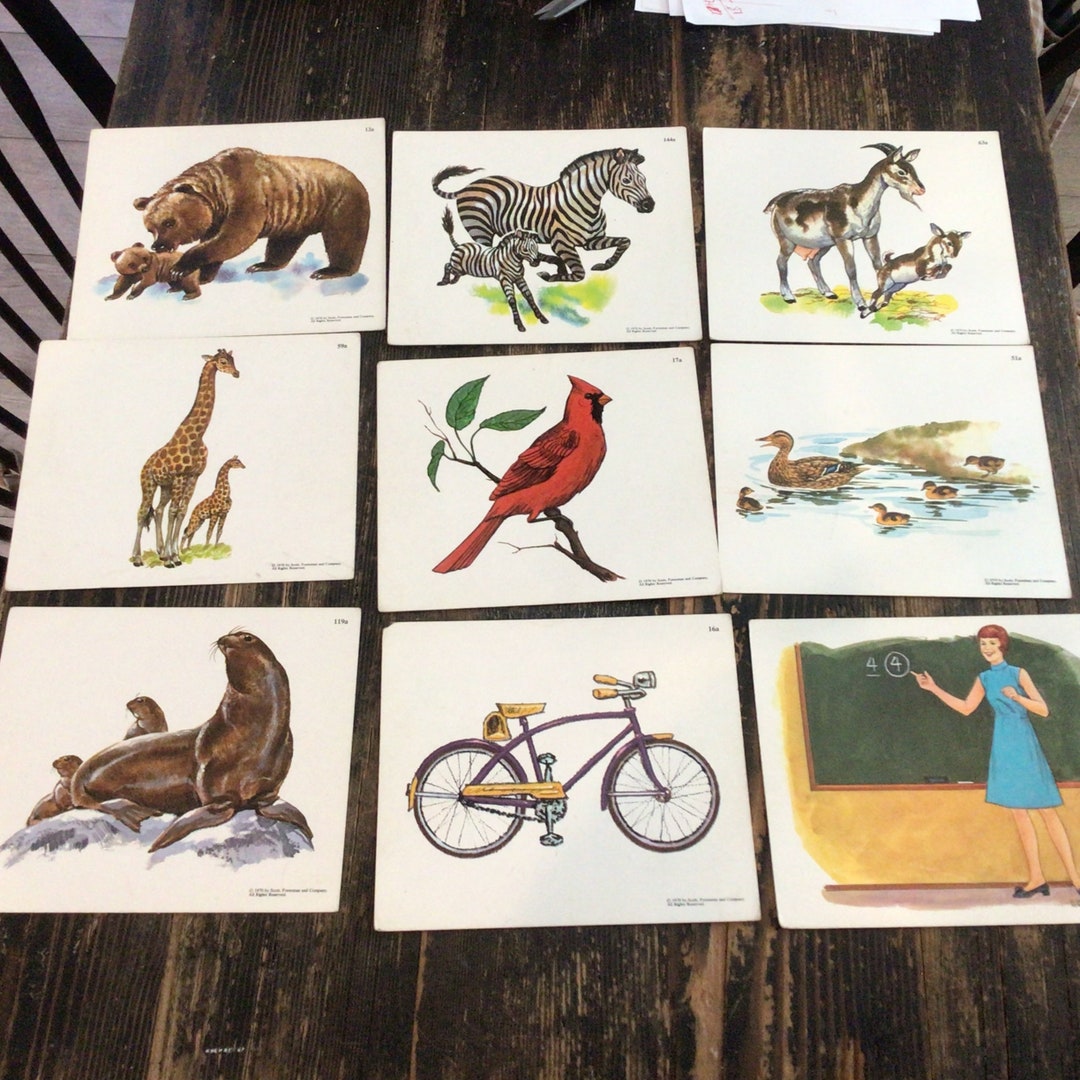 Vintage 1970s One Sided Flashcards, Learning Flash Cards, Teaching ...