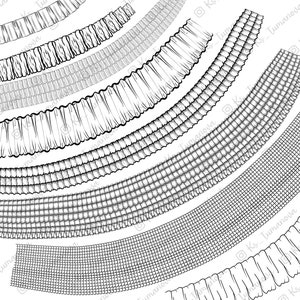 Photoshop Ruffle Brushes. Photoshop Fold Brush. Digital Brushes Fresco ...