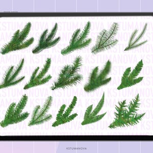 Procreate Pine Branch Brushes. Procreate Christmas Tree Brushes ...