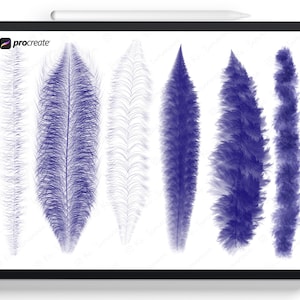 Procreate Feather Brushes. Procreate Fluff Texture. Wings of Birds ...