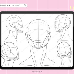 Procreate Heads Brushes Stamps, Portrait Guide Stamps - Etsy