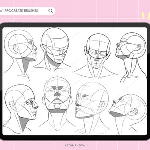 Procreate Heads Brushes Stamps, Portrait Guide Stamps - Etsy