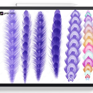 Procreate Feather Brushes. Procreate Fluff Texture. Wings of Birds ...