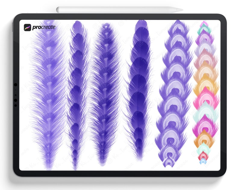 Procreate Feather Brushes, Fluff Texture. Wings of Birds, Digital ...