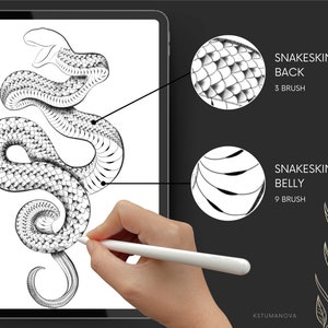Procreate Snakeskin Brushes. Procreate Snake Scale Brush. Procreate ...