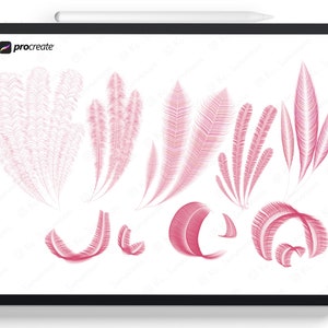 Procreate Feather Brushes. Procreate Fluff Texture. Wings of Birds ...