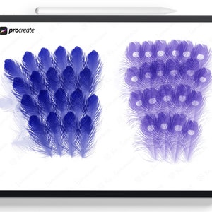 Procreate Feather Brushes. Procreate Fluff Texture. Wings of Birds ...