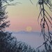 Original Oil Moonset Painting on Canvas Moon, Dusk, Fine Art Landscape ...