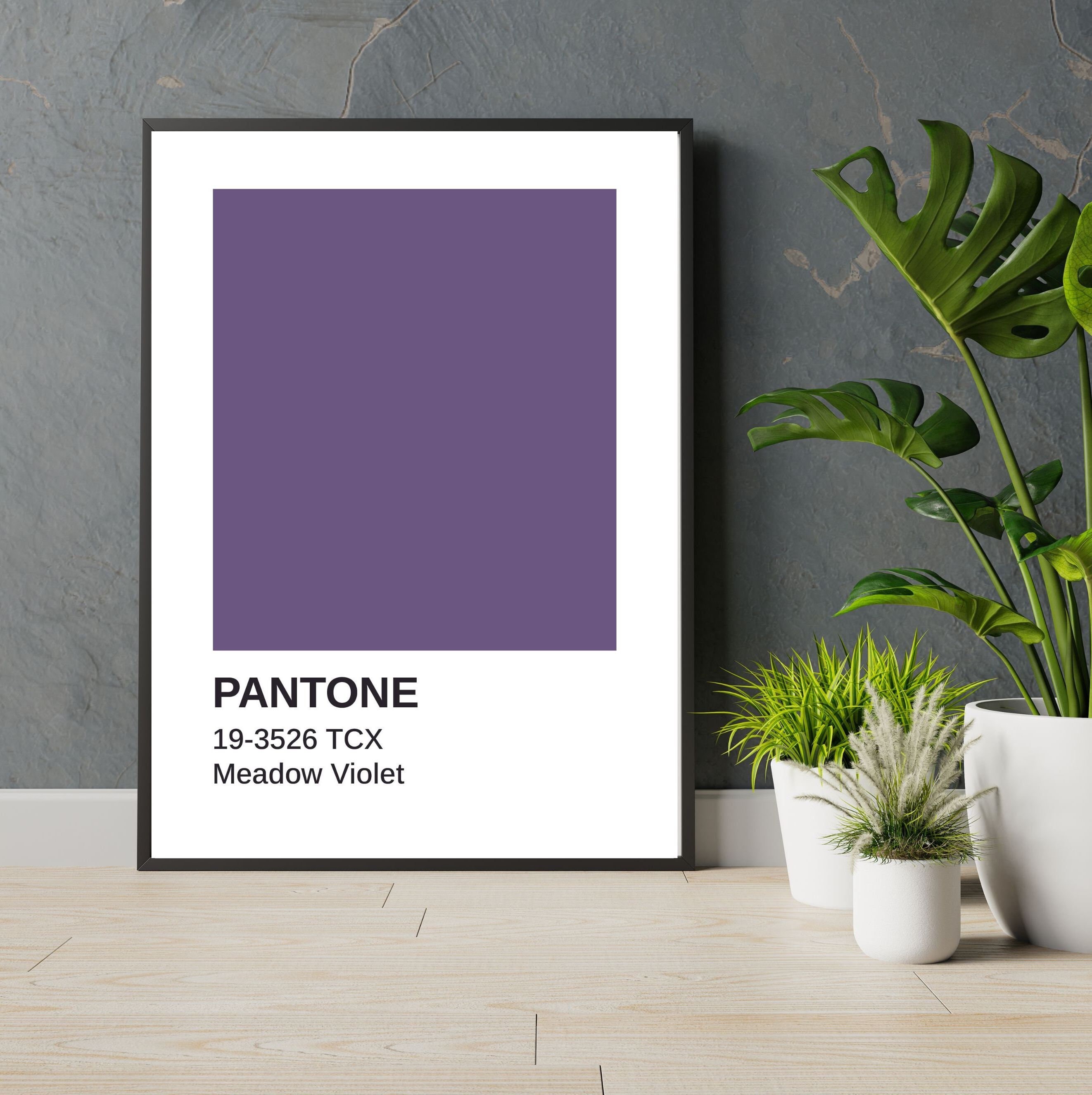 Meadow Violet Pantone Print Printable Art Digital Print - Etsy