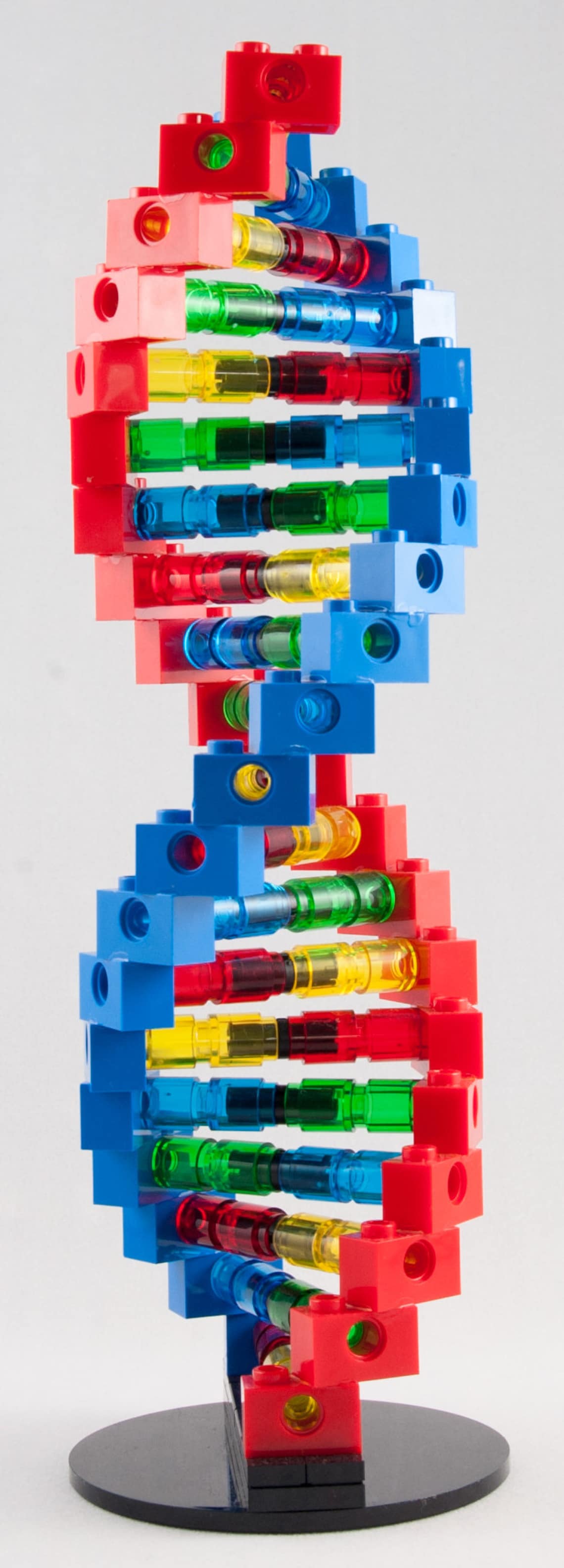 Pure Geek Deoxyribonucleic Acid DNA Building Block Model - Etsy