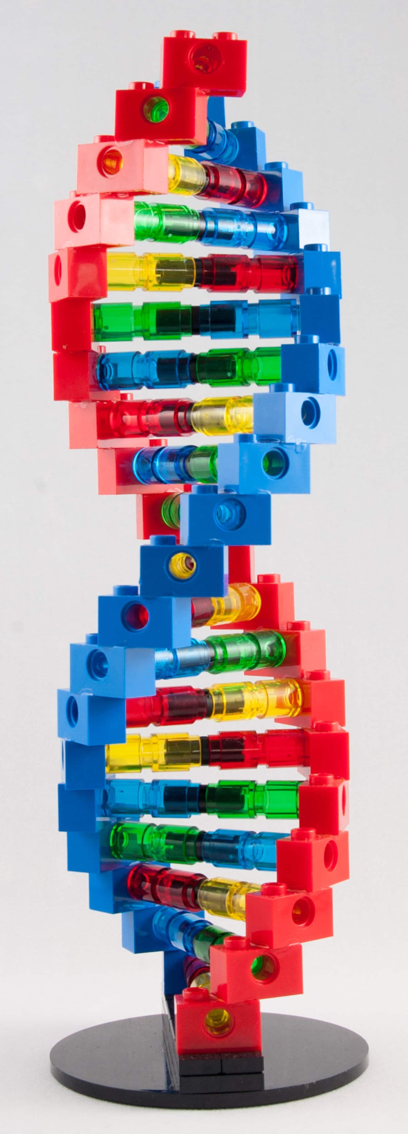 Pure Geek Deoxyribonucleic Acid DNA Building Block Model - Etsy