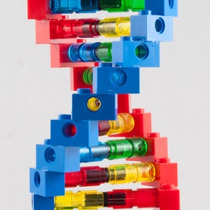 Pure Geek Deoxyribonucleic Acid DNA Building Block Model - Etsy