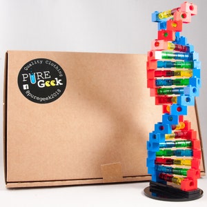 Pure Geek Deoxyribonucleic Acid DNA Building Block Model - Etsy