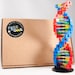 Pure Geek Deoxyribonucleic Acid DNA Building Block Model - Etsy