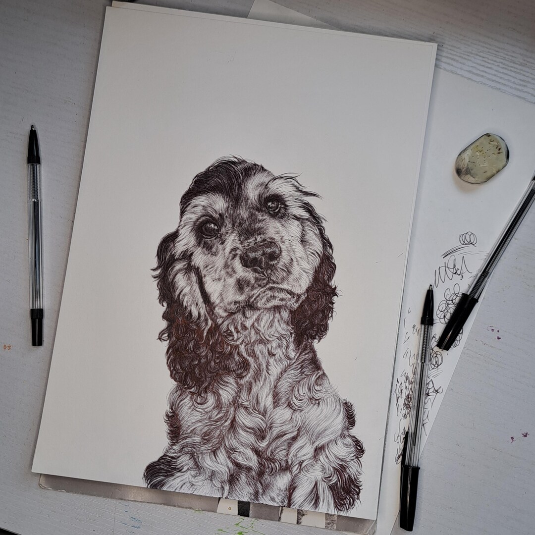 A4 PRINT of 'merlin' , Hand Drawn Biro Pen Cocker Spaniel Puppy ...