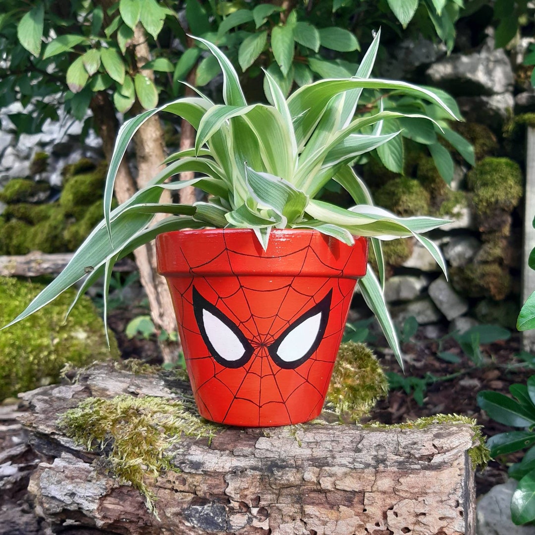 Spiderman Novelty Hand Painted Terracotta Plant Pot - Etsy