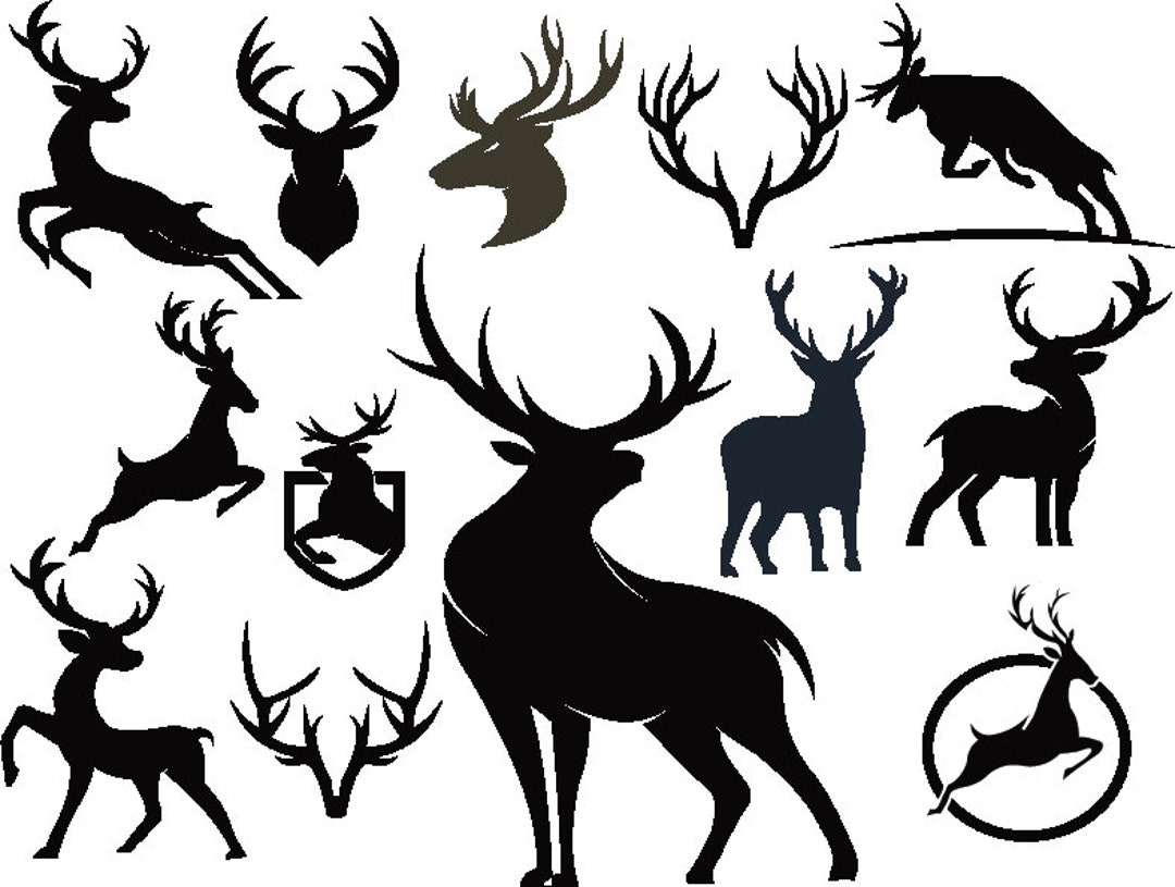 Deer Graphic Design