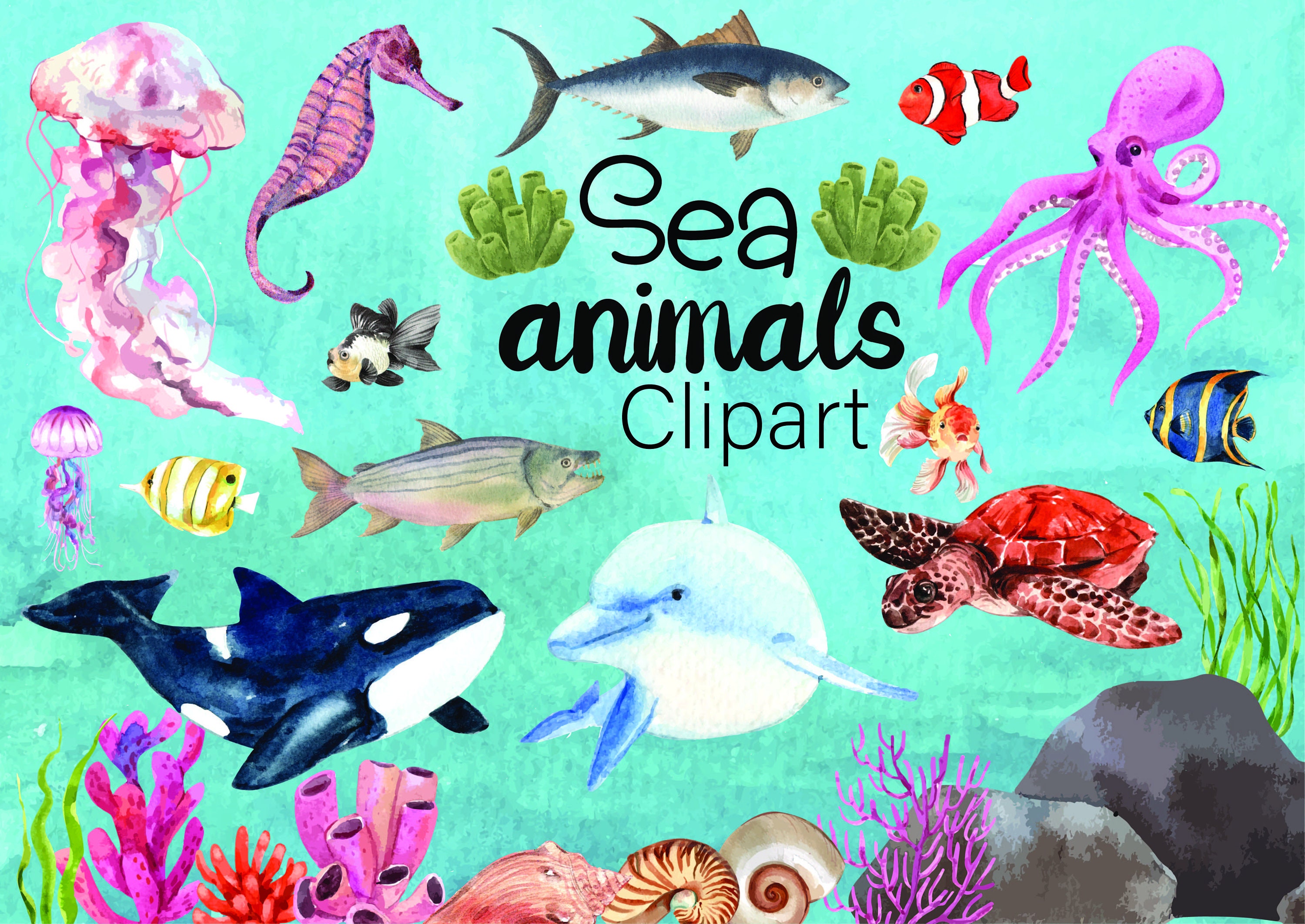 Sea Animal SVG Set of Cute Sea Animals Ocean Life - Etsy
