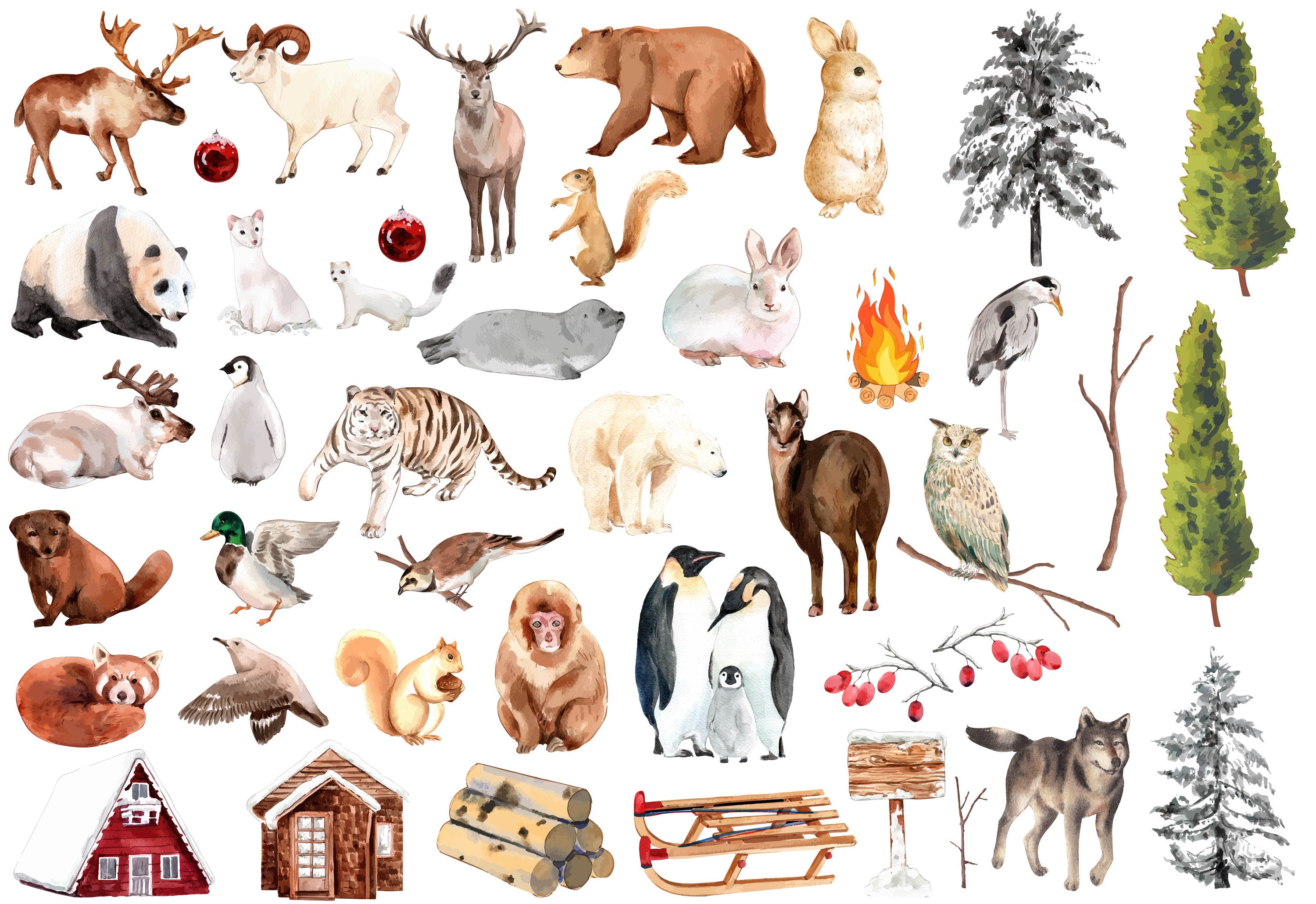 Animals Clipart Watercolor Animals Clipart Winter Animals - Etsy