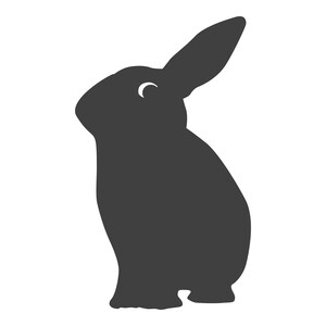 Bunny Svg Bundle, Bunny Digital Silhouette Download for Cricut, Rabbit ...