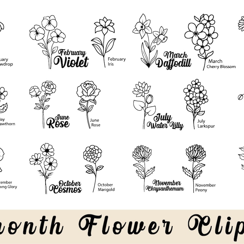 Birth Flower Svg - Etsy