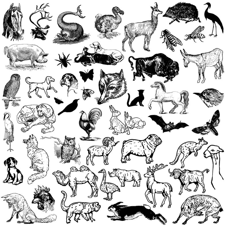Vintage Farm Animals Clipart Farm Animal SVG Antique Art - Etsy