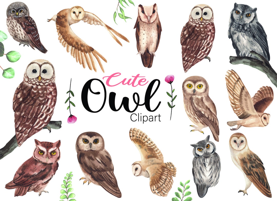 Colorful Owl Clipart, Night Birds Owls, Cute Owl Nursery Decor, Owl ...
