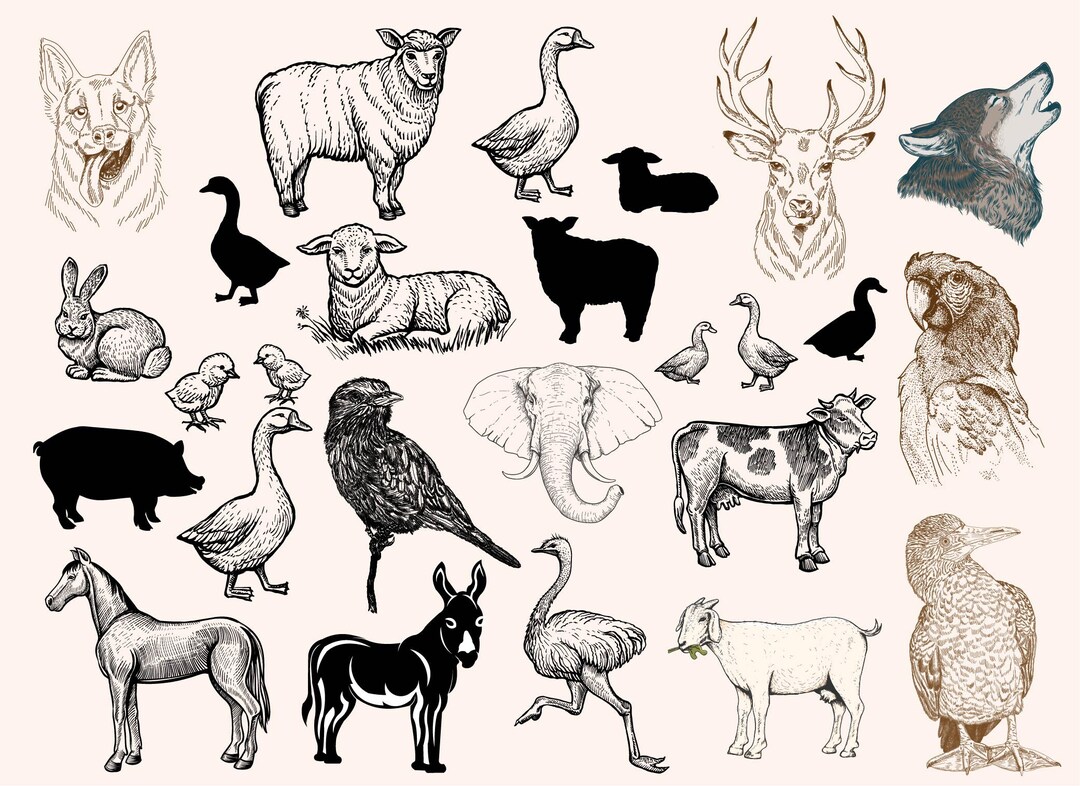 Vintage Farm Animals Clipart Farm Animal SVG Antique Art - Etsy