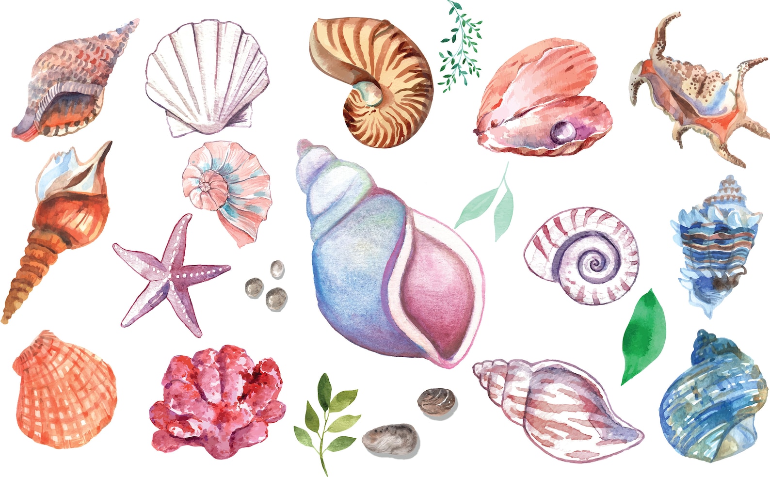 Seashell Clipart, Ocean, Beach, Shells, Sea Shell, Seascape, STARFISH ...