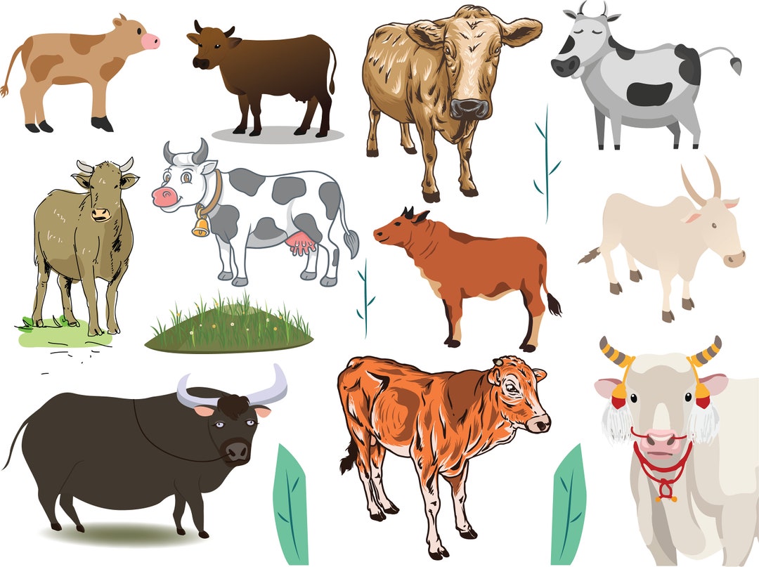 Watercolor Cows Clipart, Cute Farm Animals, Cattle Dairy Cows ...
