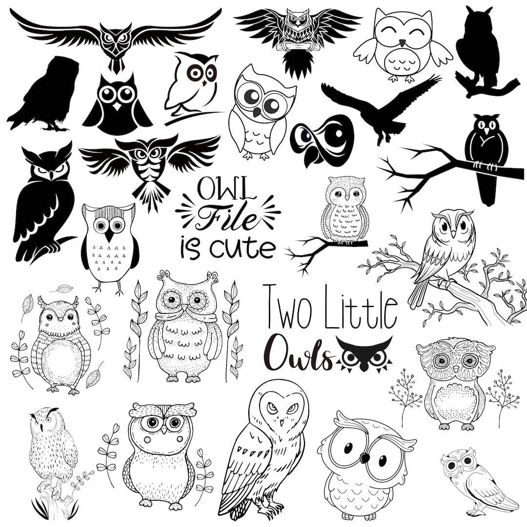 Owl SVG Bundle, Birds Clipart, Owl Svg Files for Silhouette, Owl Files ...