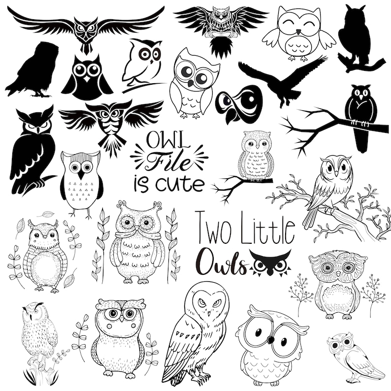 Owl SVG Bundle, Birds Clipart, Owl Svg Files for Silhouette, Owl Files ...