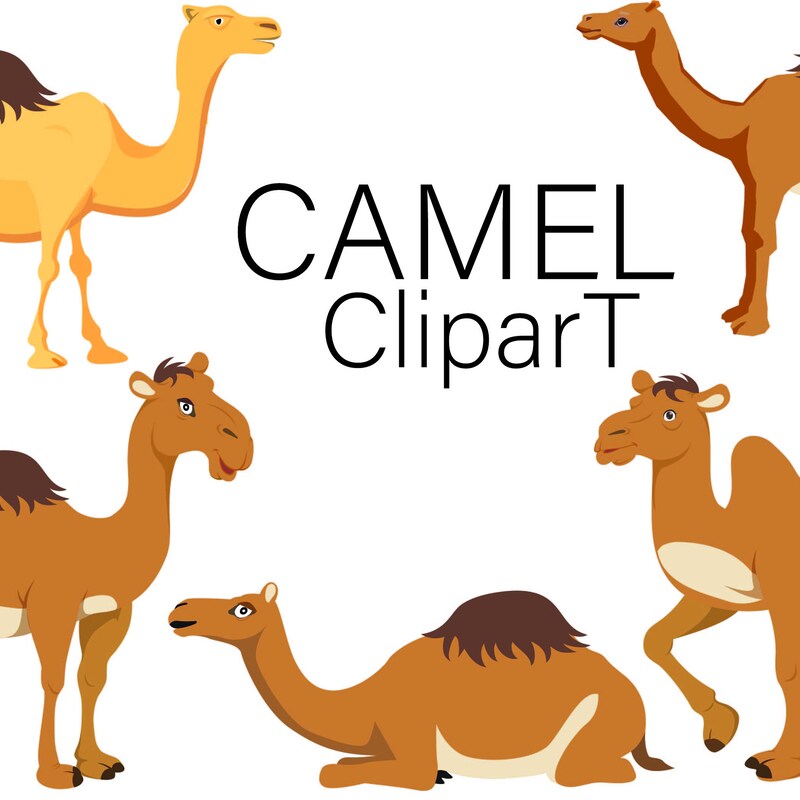 Desert Animals Clip Art - Etsy