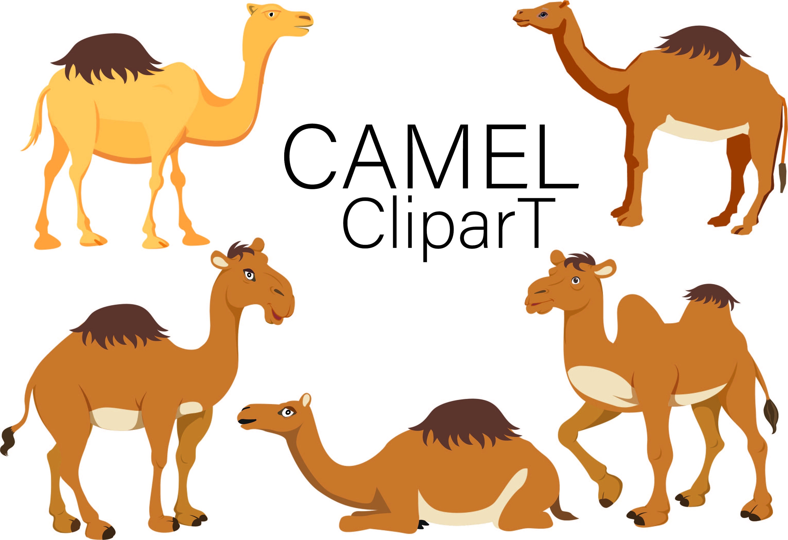 Camel Images Clipart