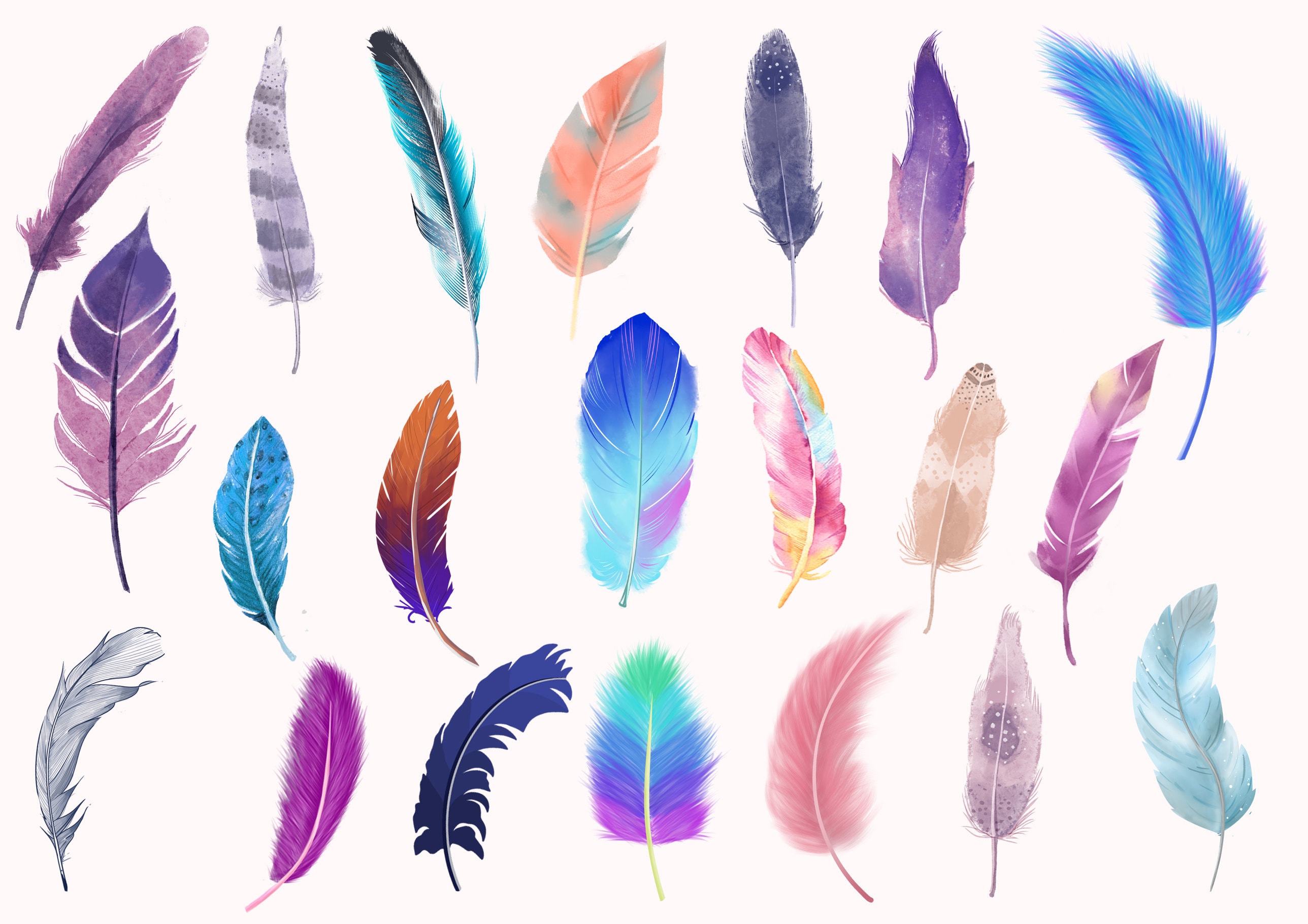Watercolor Feathers Clipart Colorful Bright Feather Instant - Etsy