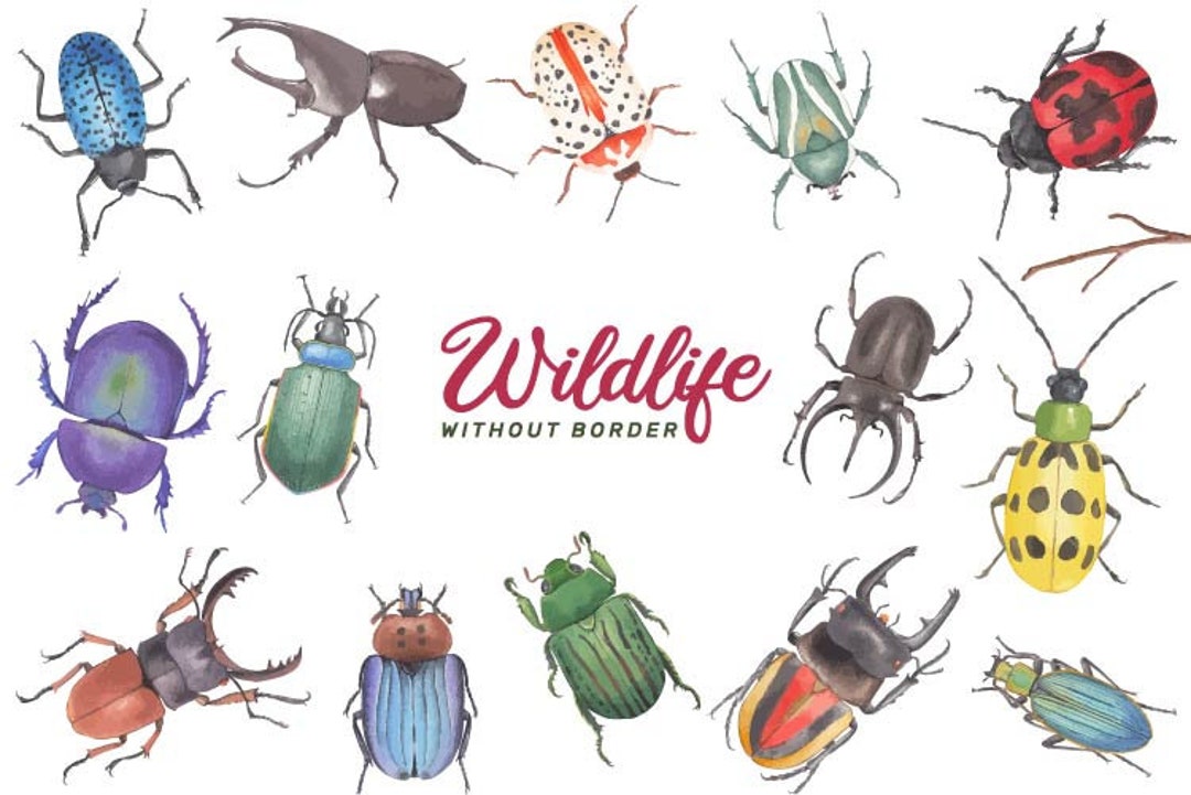 Cute Bugs Clipart, Insects Clipart, Vintage Garden Bugs Clipart, Bug ...