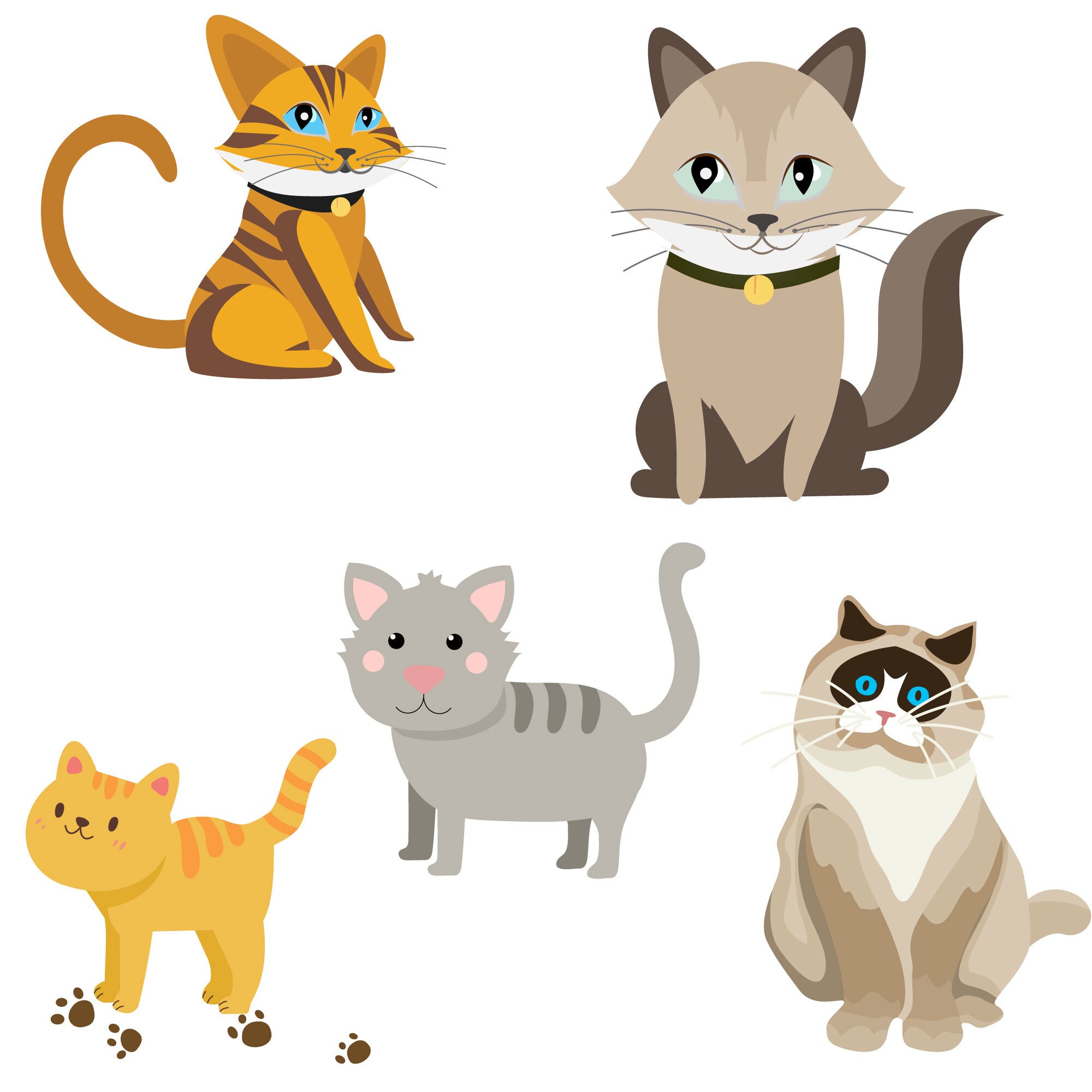 Cat Clipart Cat Breeds SVG Kitten PNG Cat Lovers Clipart - Etsy Canada