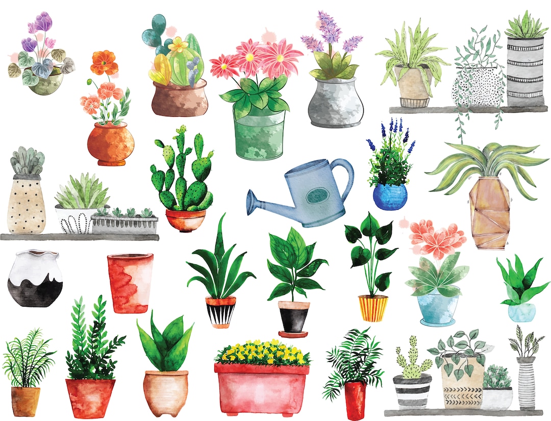 Indoor House Plants Clipart, Botanical Svg Bundle Flower, Botanical ...