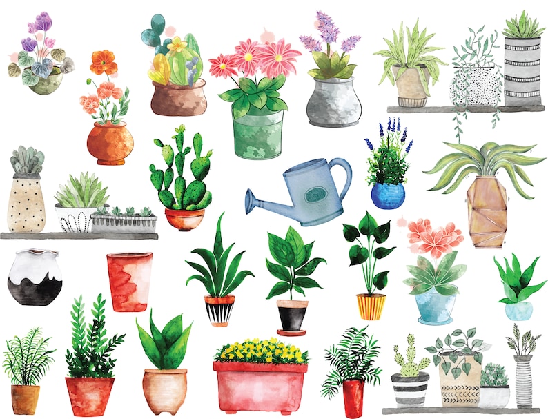 Indoor House Plants Clipart Botanical Svg Bundle Flower - Etsy