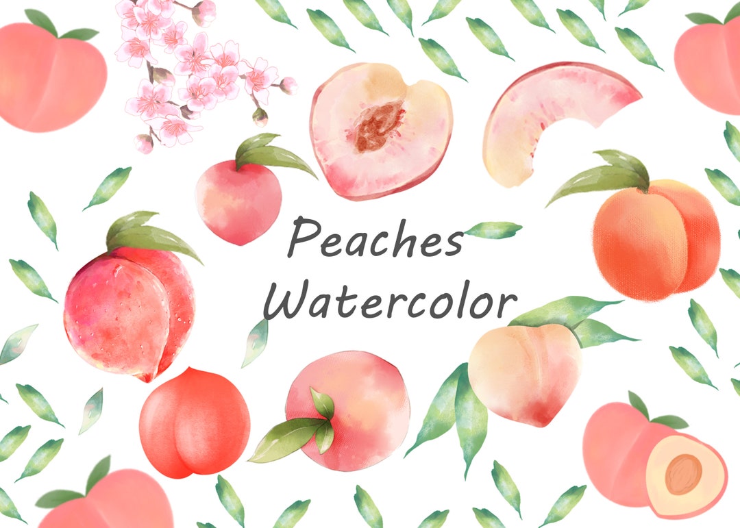 Watercolor Peach Clipart, Digital Fruits, Sweet Summer Peaches Wreaths ...