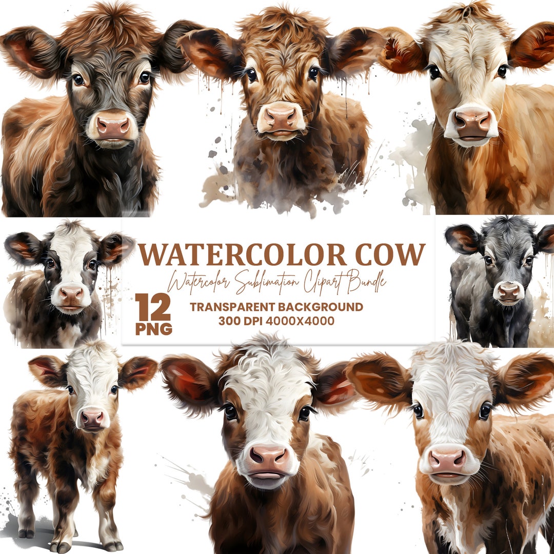Watercolor Dairy Cow PNG, Cows Clipart PNG, Farm Animal Clipart, Calf ...