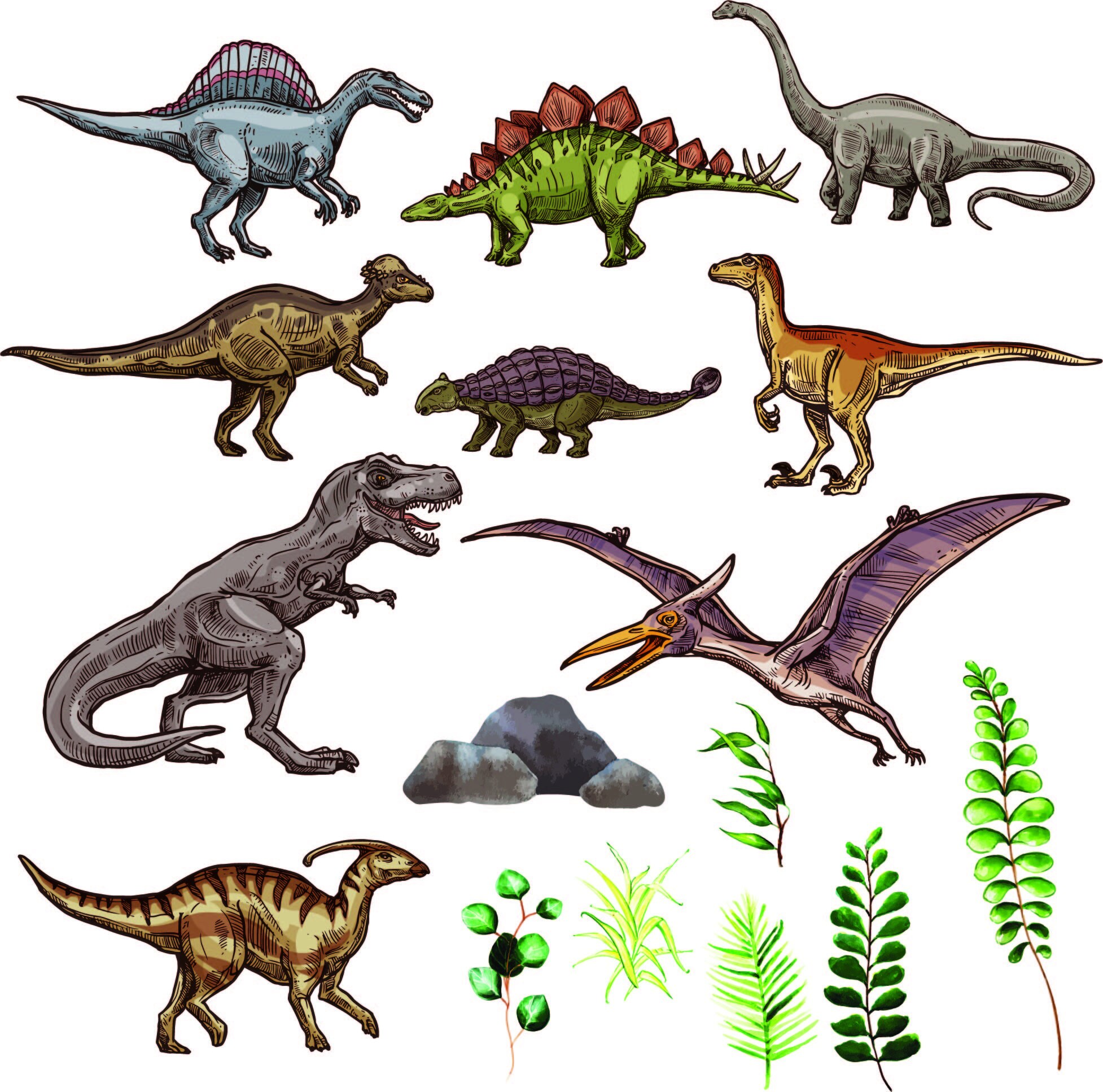 Watercolor Dinosaur Clipart Dinosaurs Cartoon Design Art - Etsy