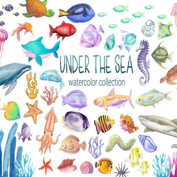 Sea Animals Clipart - Etsy