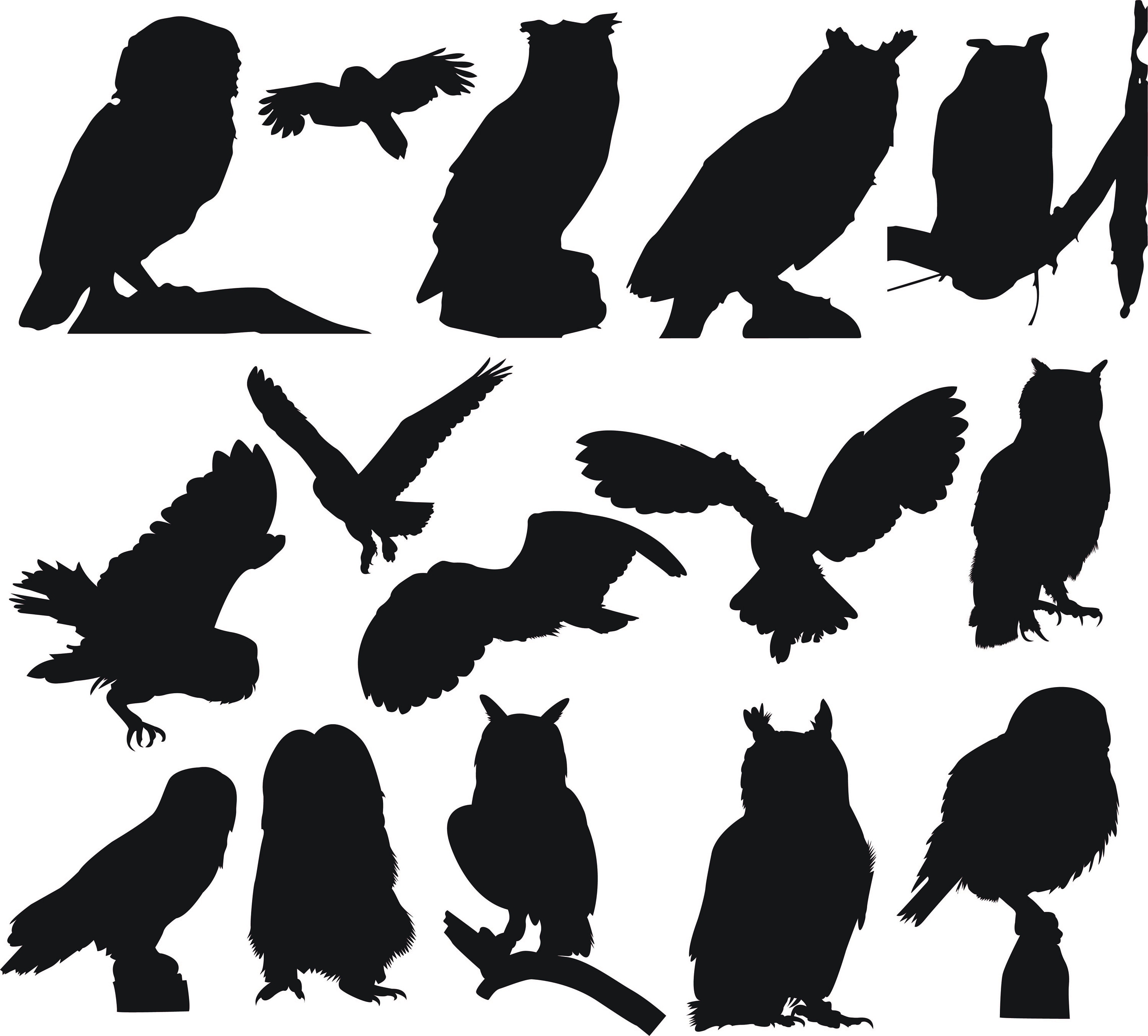 Owl Silhouette SVG Owl Bird Animal Night Birds Printable - Etsy